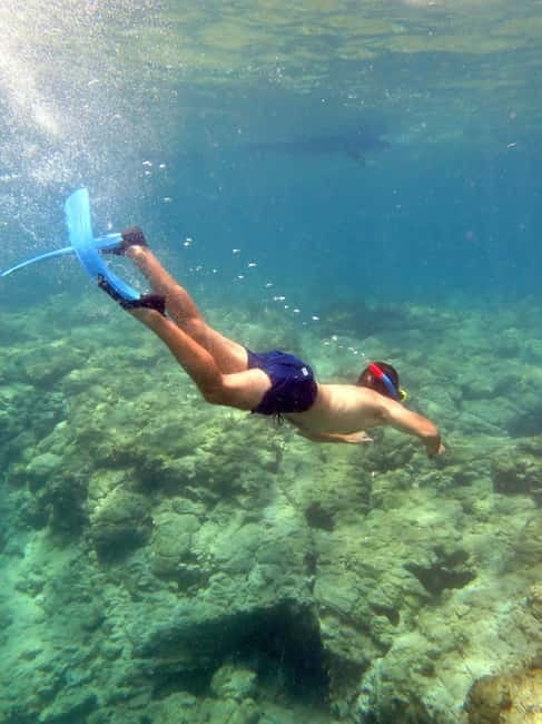 Polis: Blue Lagoon Boat Tour with bus from Paphos