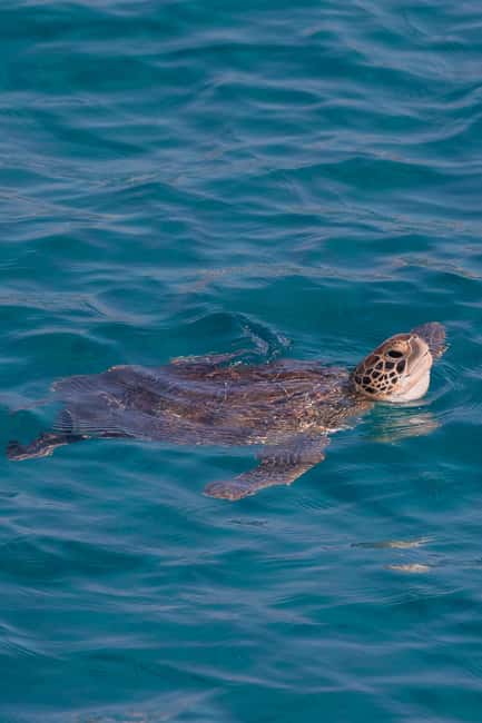 Protaras: Turtle Cove & Blue Lagoon Sunset Cruise